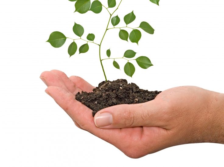 Zelfontwikkeling of zelf-ontwikkeling? - ForYou Magazine